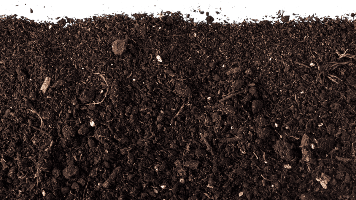 Dirt Work Services in Austin, TX | Residential & Commercial Experts